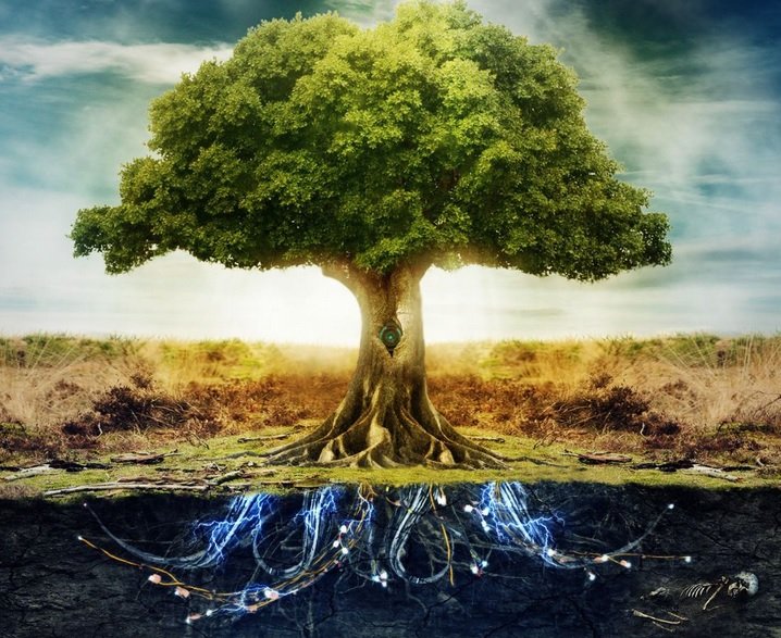 Were Gentiles Grafted Into Israel… in Christ? – The Gospel Central